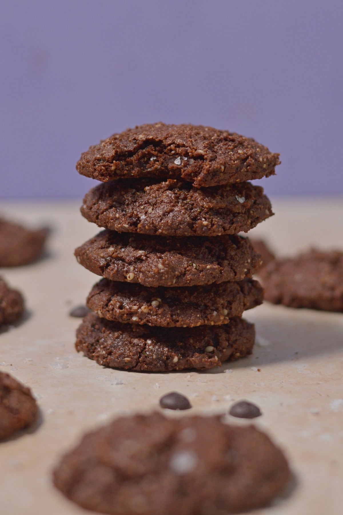 almond flour cocoa cookies - Joy to the Food