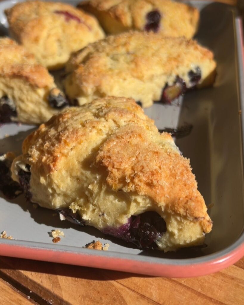 cottage cheese scones (blueberry lemon, high protein) - Joy to the Food